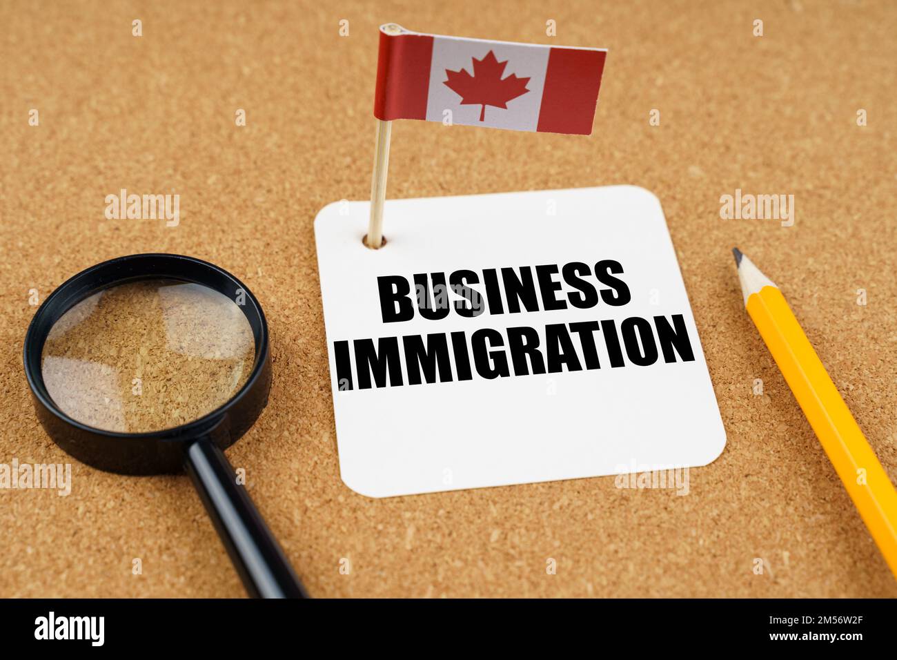 On the table is the flag of Canada, a pencil, a magnifying glass and a ...