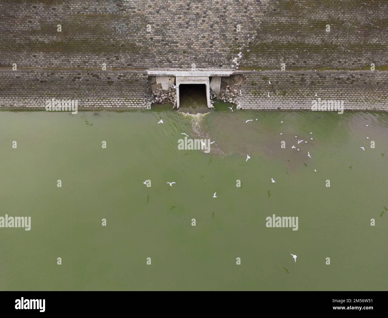 Sewage of a town being dropped into a river Stock Photo - Alamy