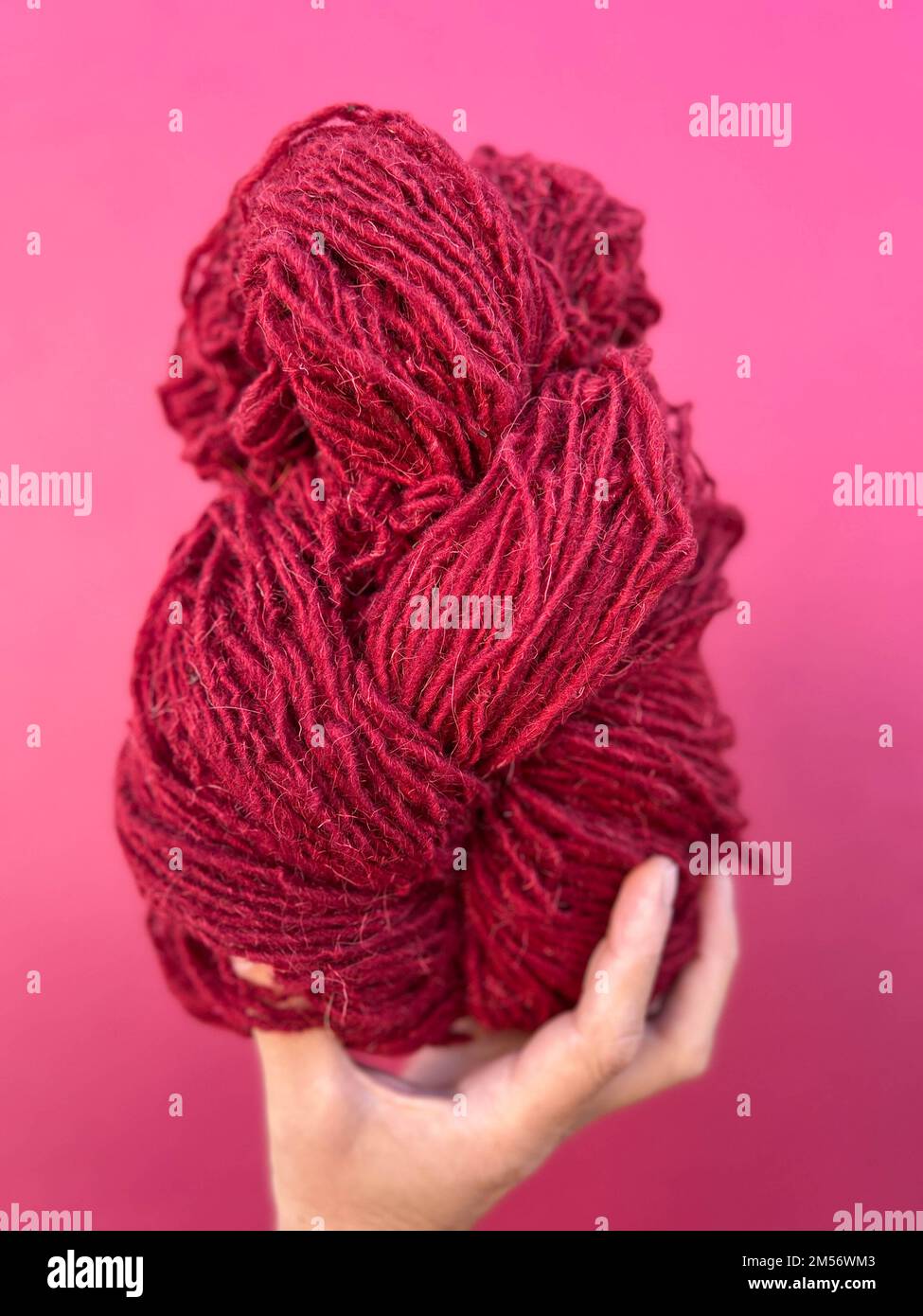 Wool yarn dyed with natural dye of cochineal insect in Oaxaca, Mexico ...