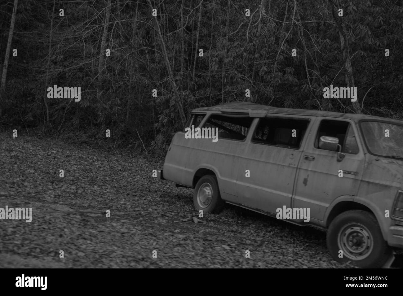 Van trees hi-res stock photography and images - Alamy
