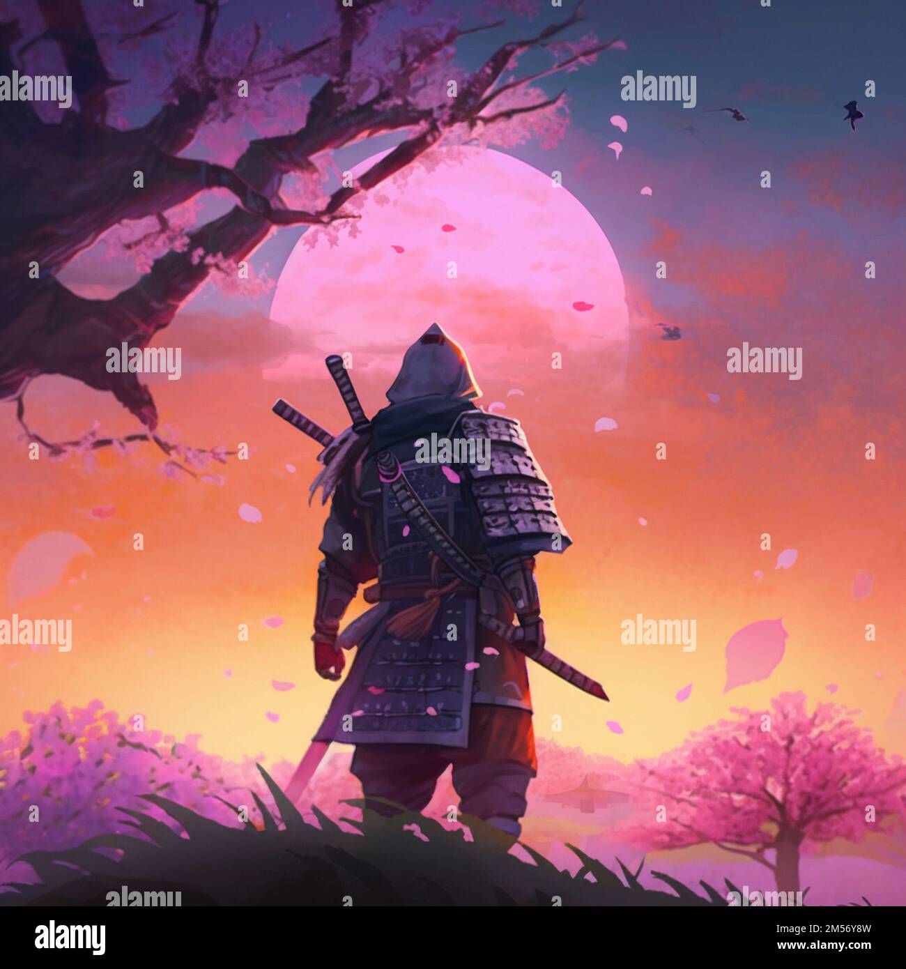Ronin samurai hi-res stock photography and images - Alamy