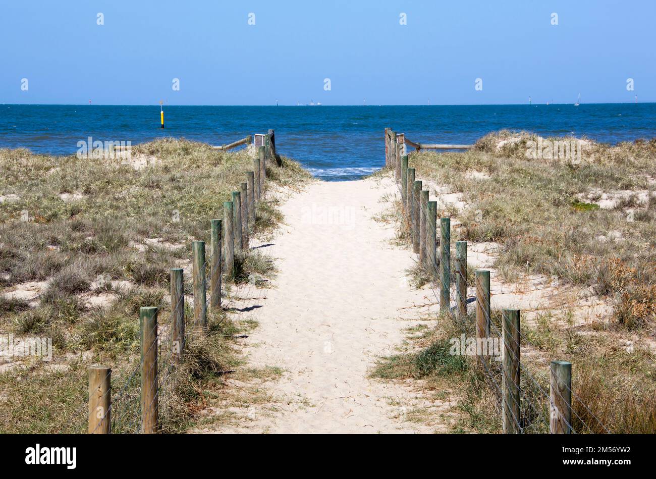 The entrance footpath to the sandy beach in Melbourne city (Victoria ...