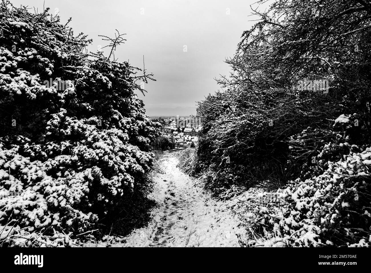 Sussex a winter view Black and White Stock Photos & Images - Alamy