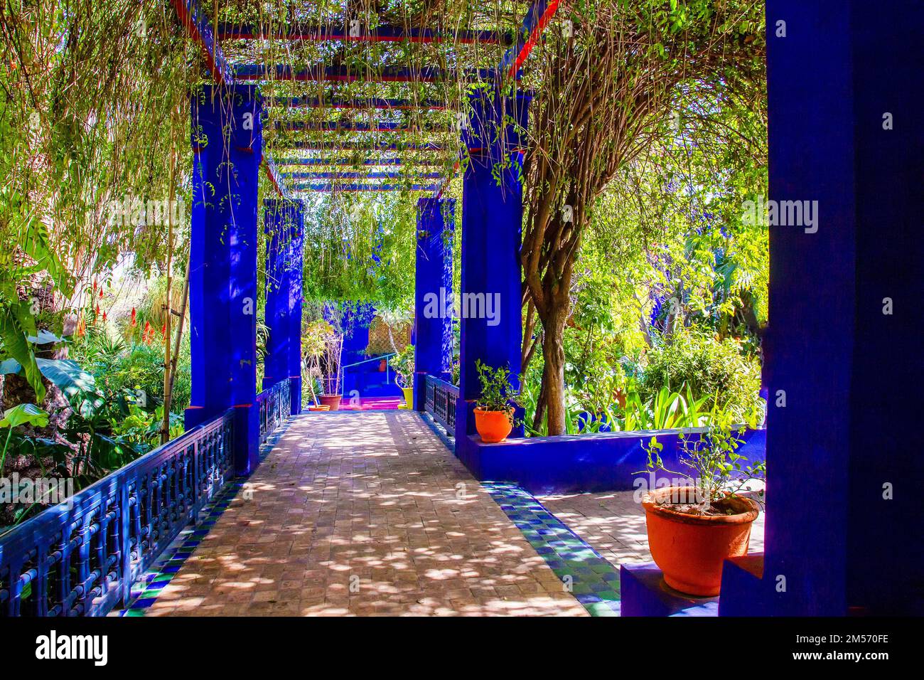 Open Veranda (alley) with climbing vines in Majorelle garden in ...