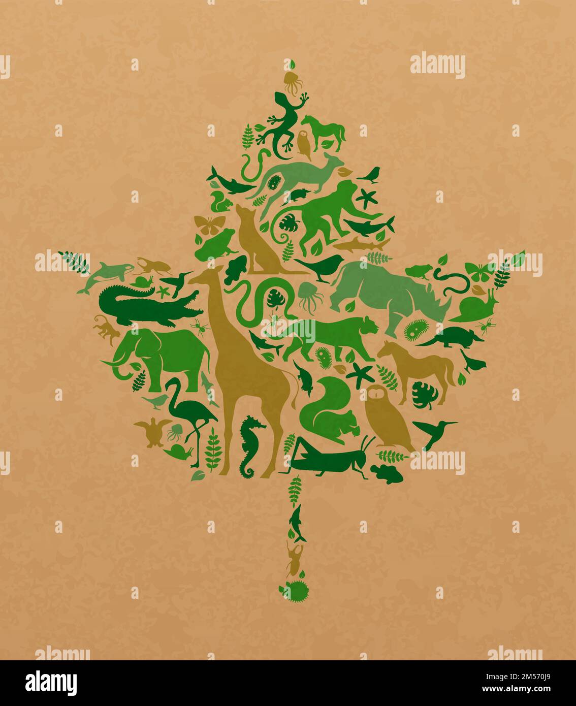 Wild tree shapes hi-res stock photography and images - Alamy