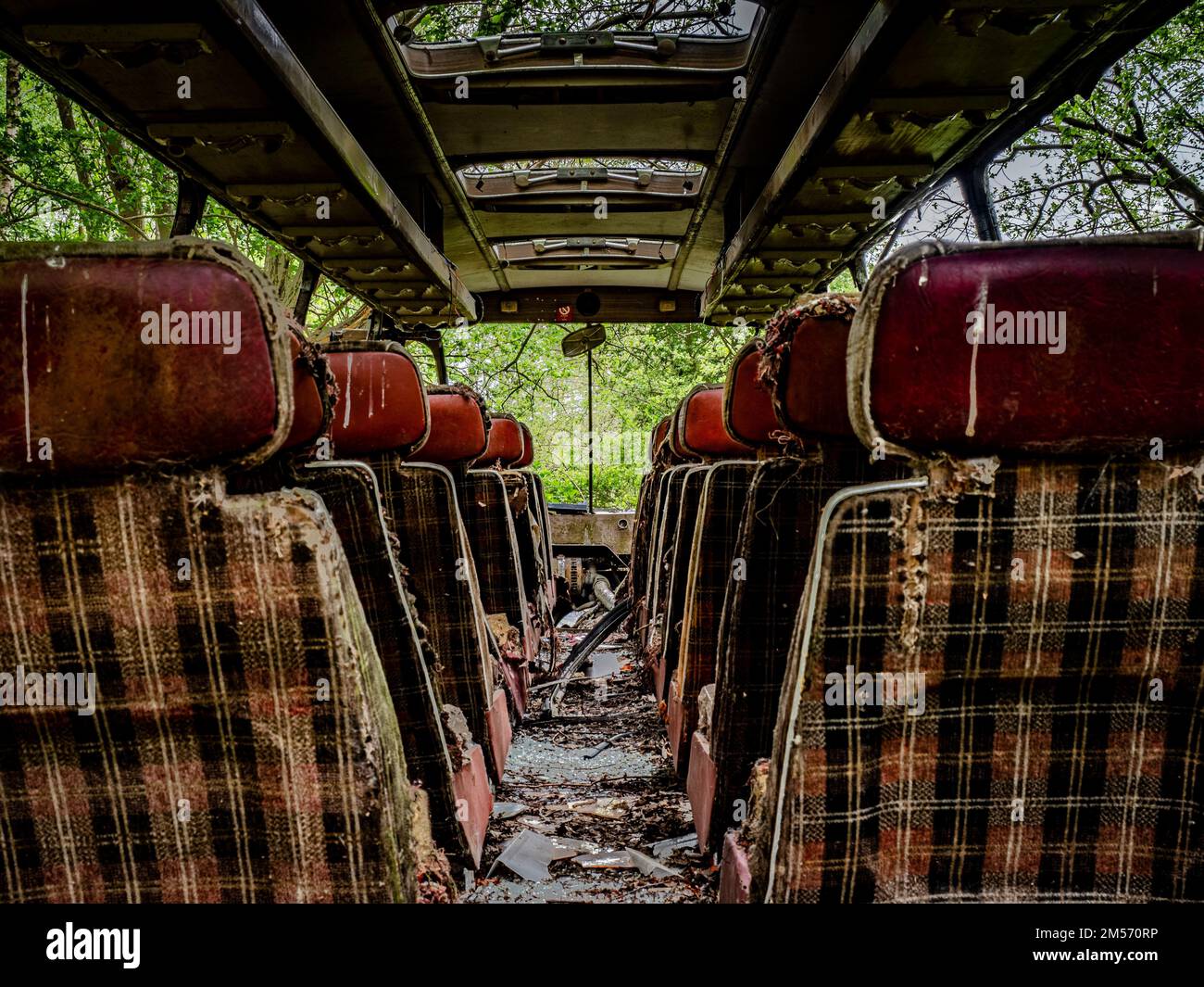 The abandoned seats on a rusted bus in a forest Stock Photo - Alamy