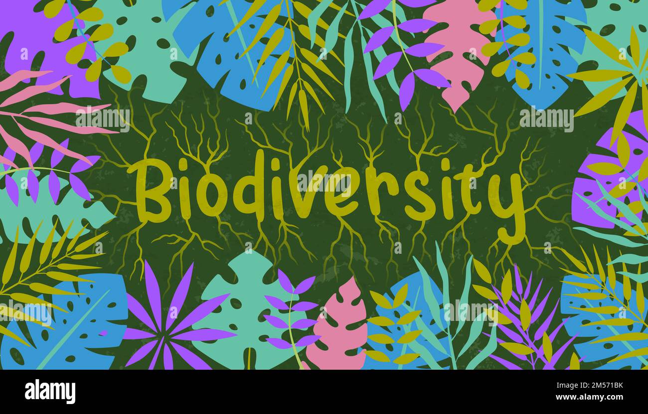 Biodiversity text quote sign made of green tree roots with colorful ...