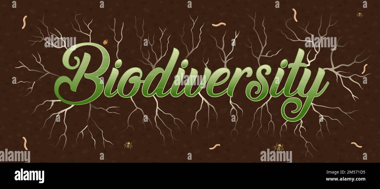 Biodiversity text quote sign made of green tree roots with underground ...