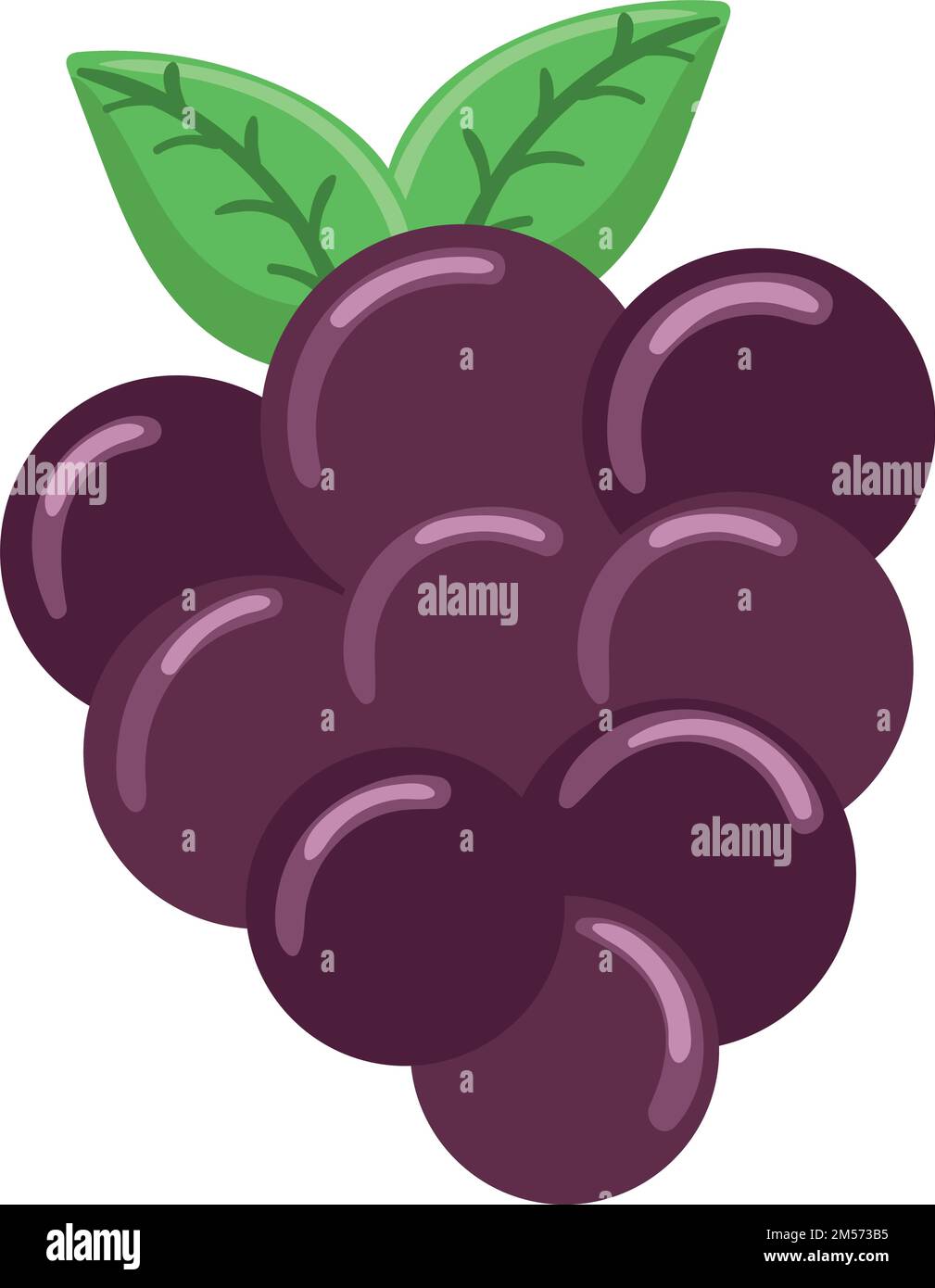 grape fruit icon Stock Vector Image & Art - Alamy