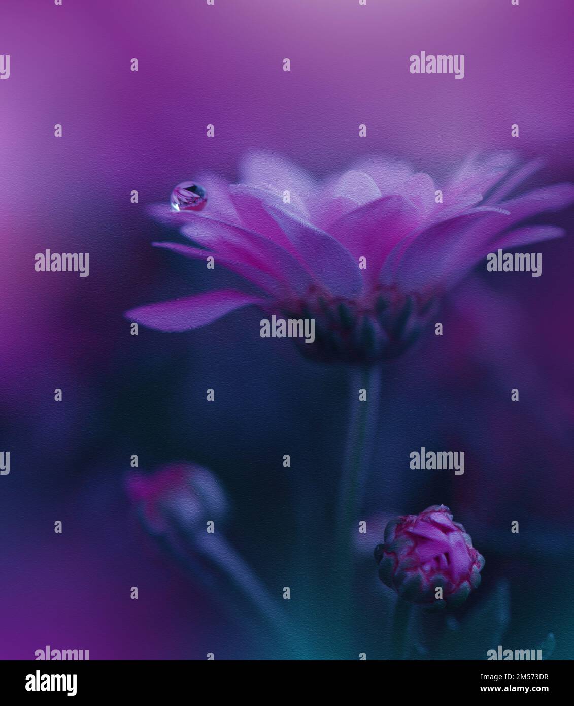 Violet art hi-res stock photography and images - Alamy