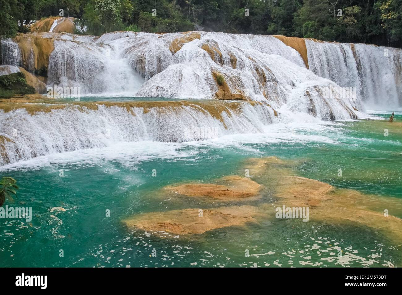 Agua Azul waterfalls in Chiapas, Mexico Stock Photo - Alamy