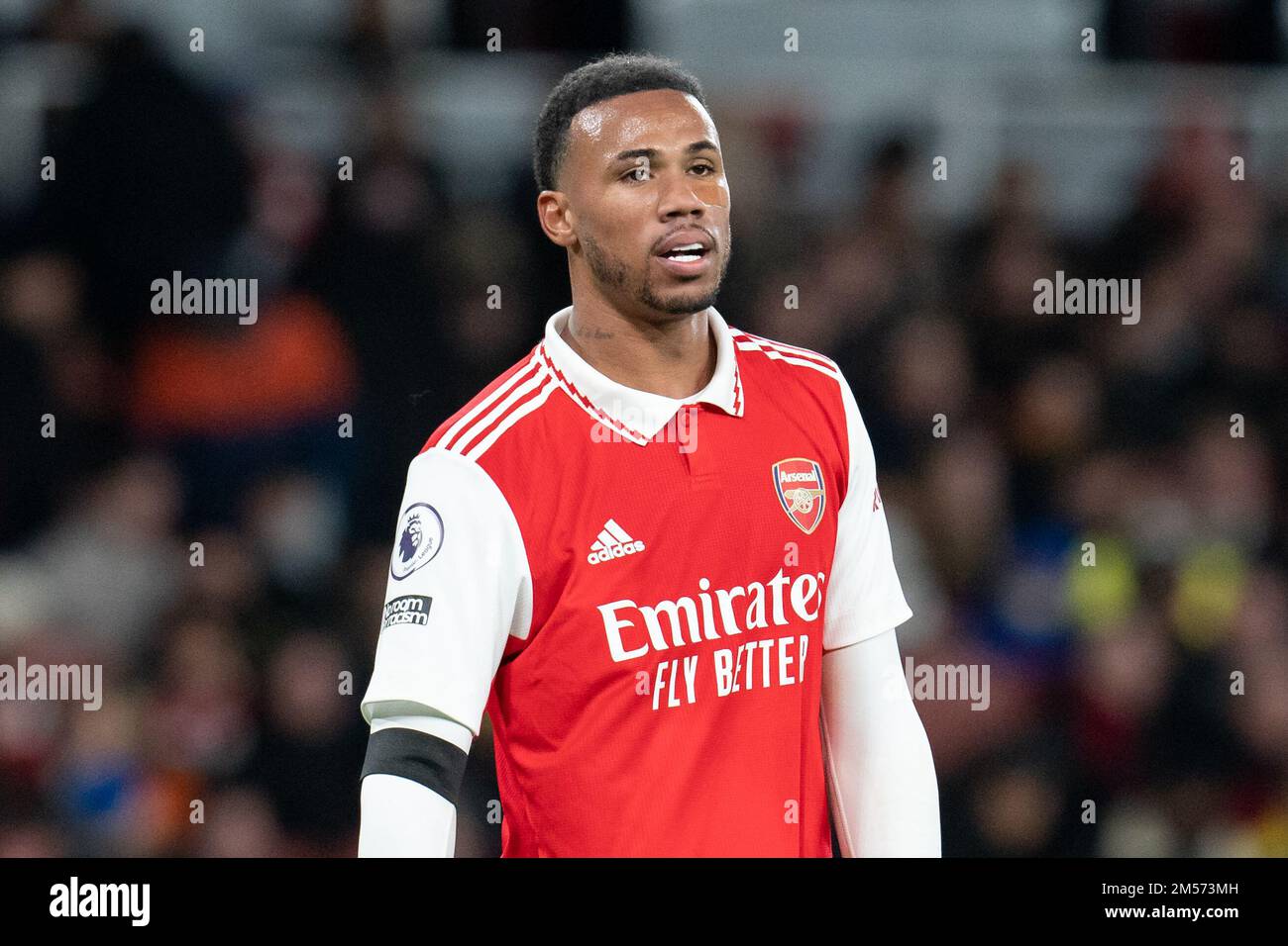 Gabriel Magalhaes #6 of Arsenal during the Premier League match Arsenal ...
