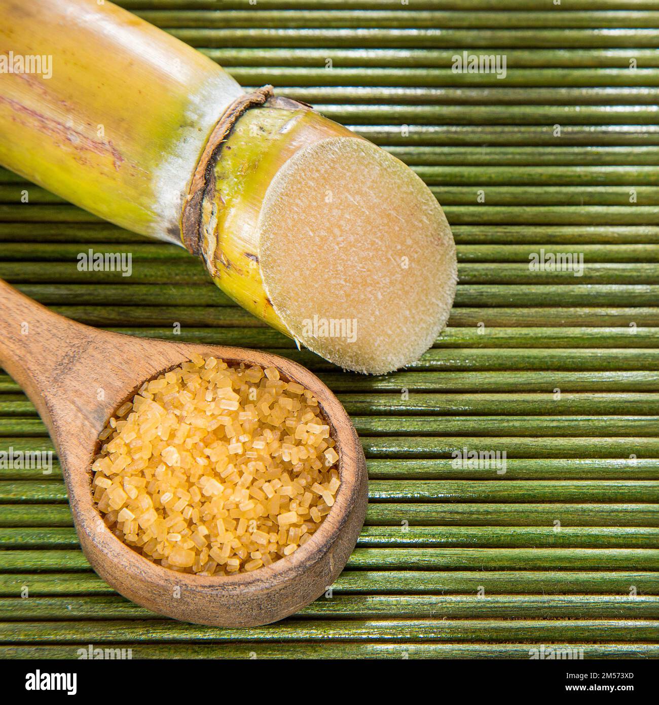piece of sugar cane and powdered sugar - Saccharum officinarum Stock ...