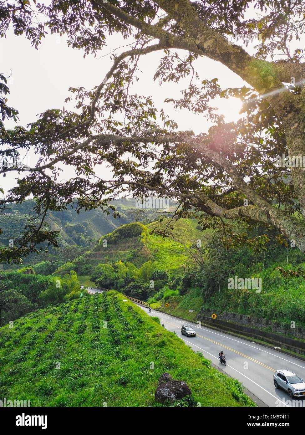 Colombian natural landscape of a beautiful sunset, in the La Romelia-El ...