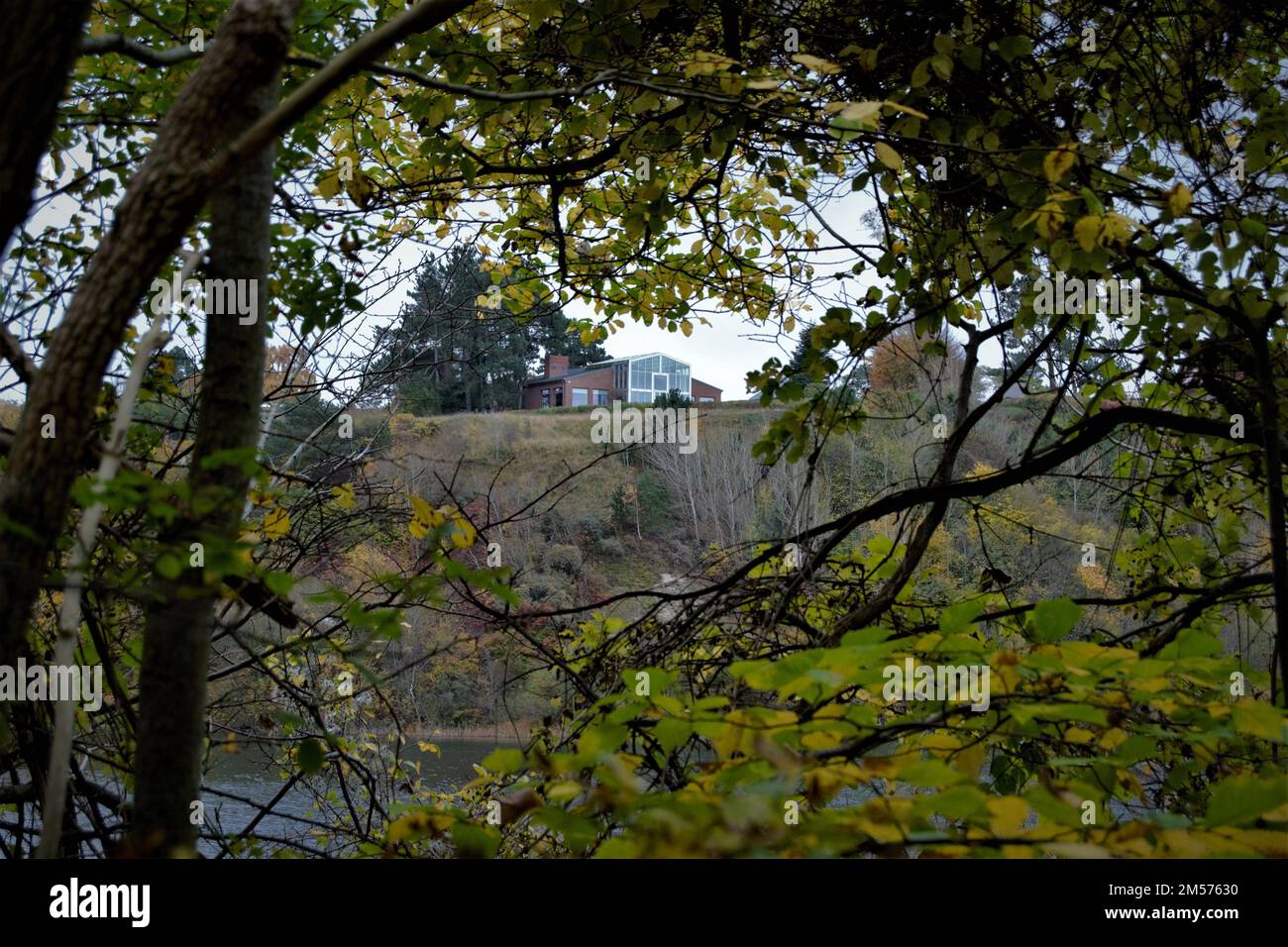 A beautiful house on top of a cliff behind a tree in forest opening ...