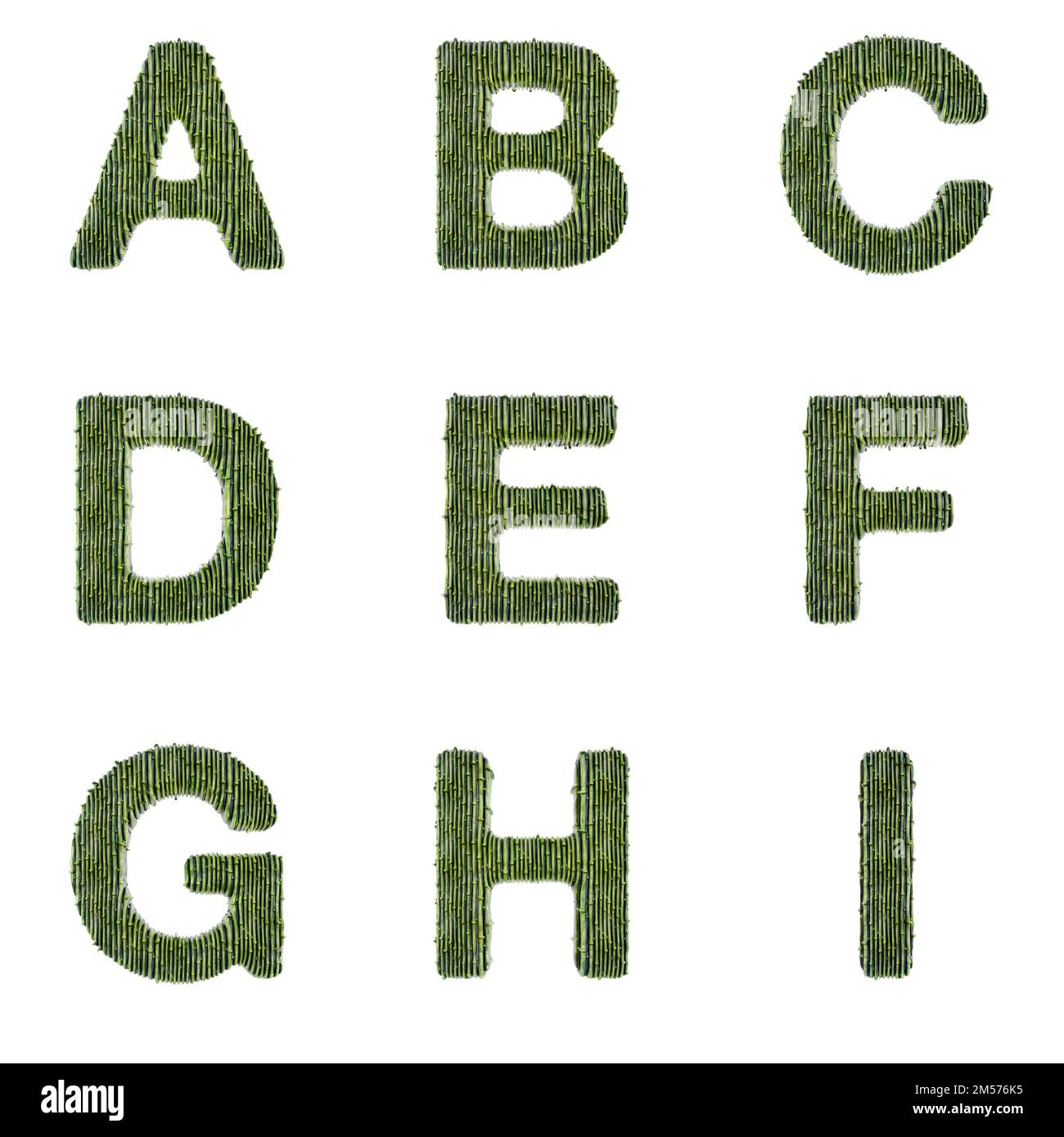 3D Render Set of Bamboo Font including Letters, Numbers and Punctuation ...