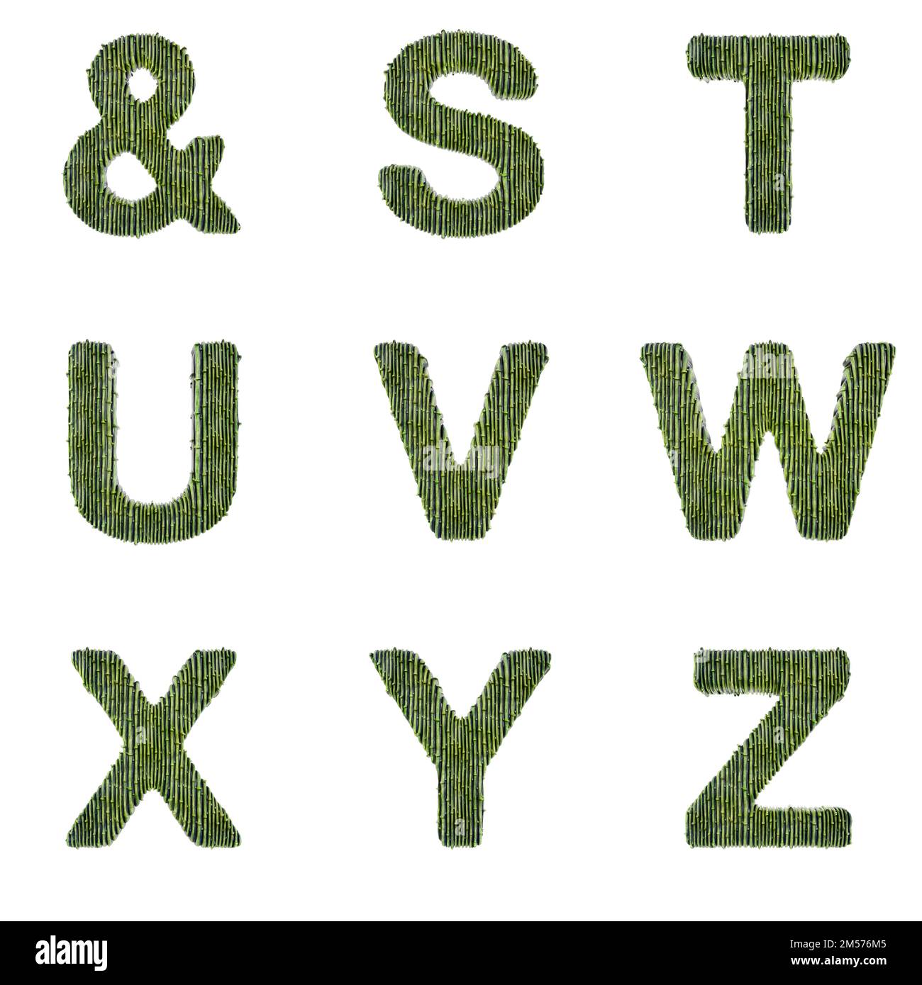 3D Render Set of Bamboo Font including Letters, Numbers and Punctuation ...