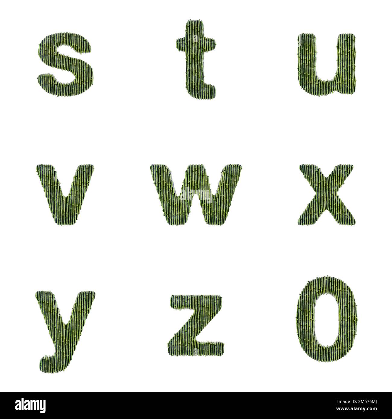 3D Render Set of Bamboo Font including Letters, Numbers and Punctuation ...