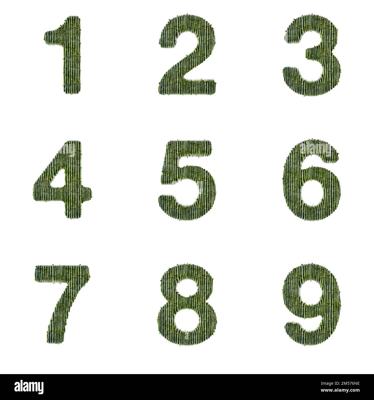 3D Render Set of Bamboo Font including Letters, Numbers and Punctuation ...