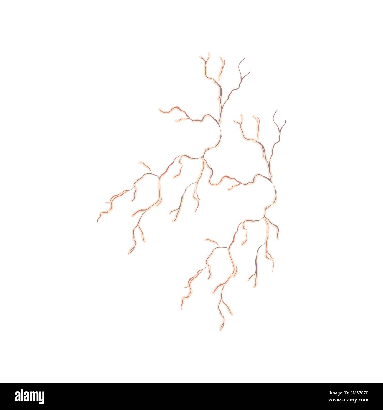Varicose Vein Scientific Design. Colorful Symbols. Vector Illustration ...