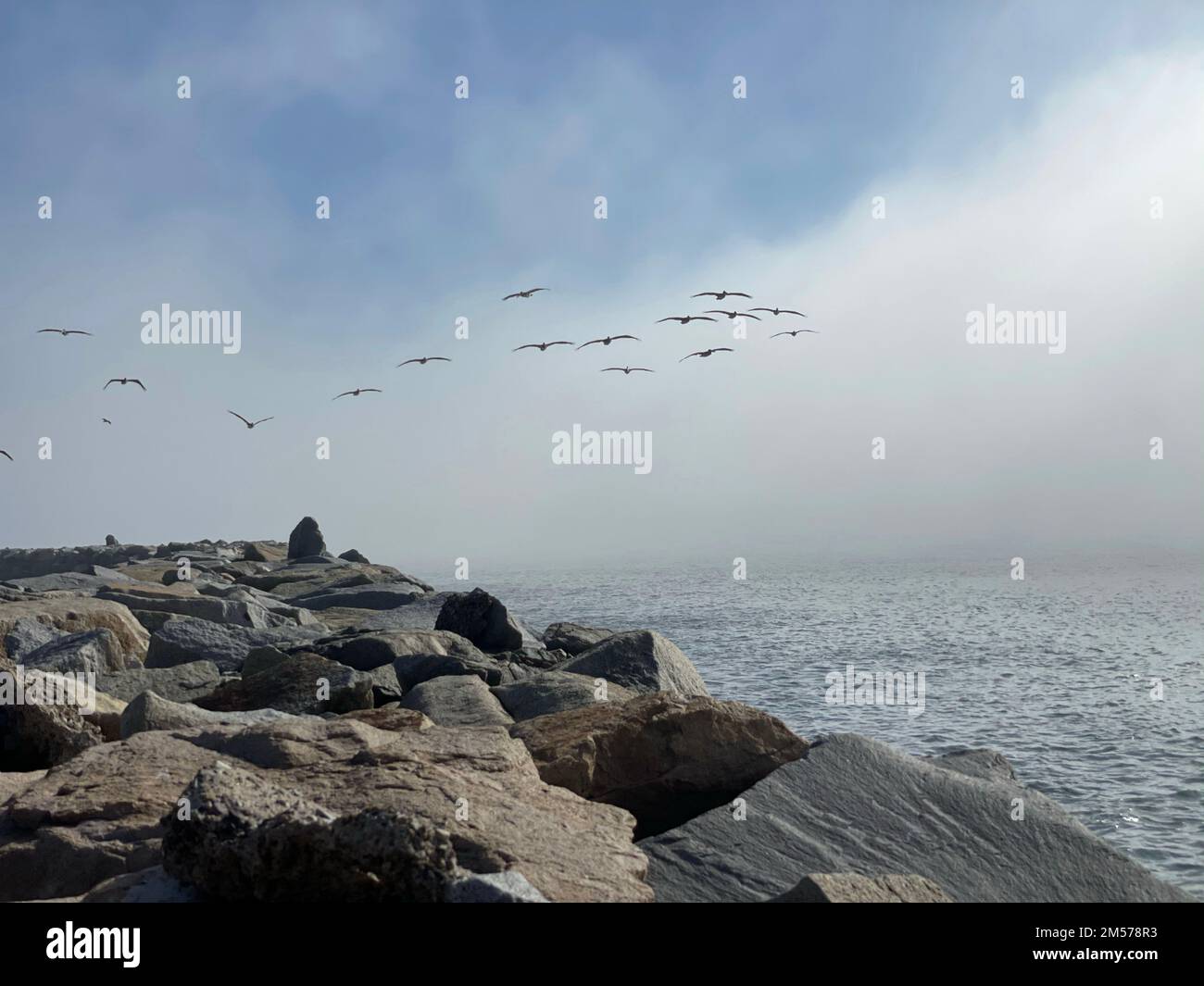 A flock of birds flying the blue sky above the rocky shoreline of Dana ...