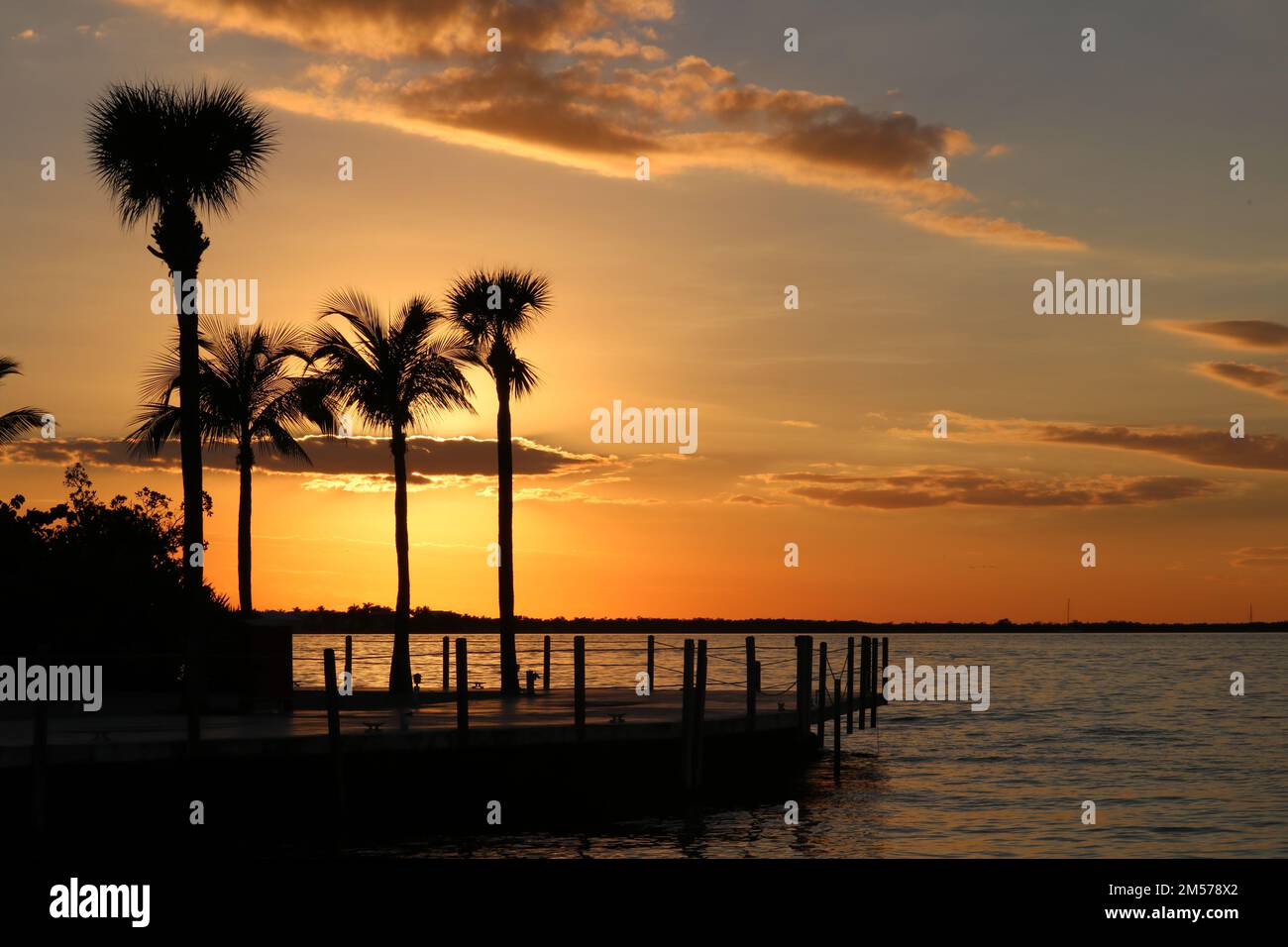 Gorgeous Florida Sunset with Palm Trees Stock Photo - Alamy