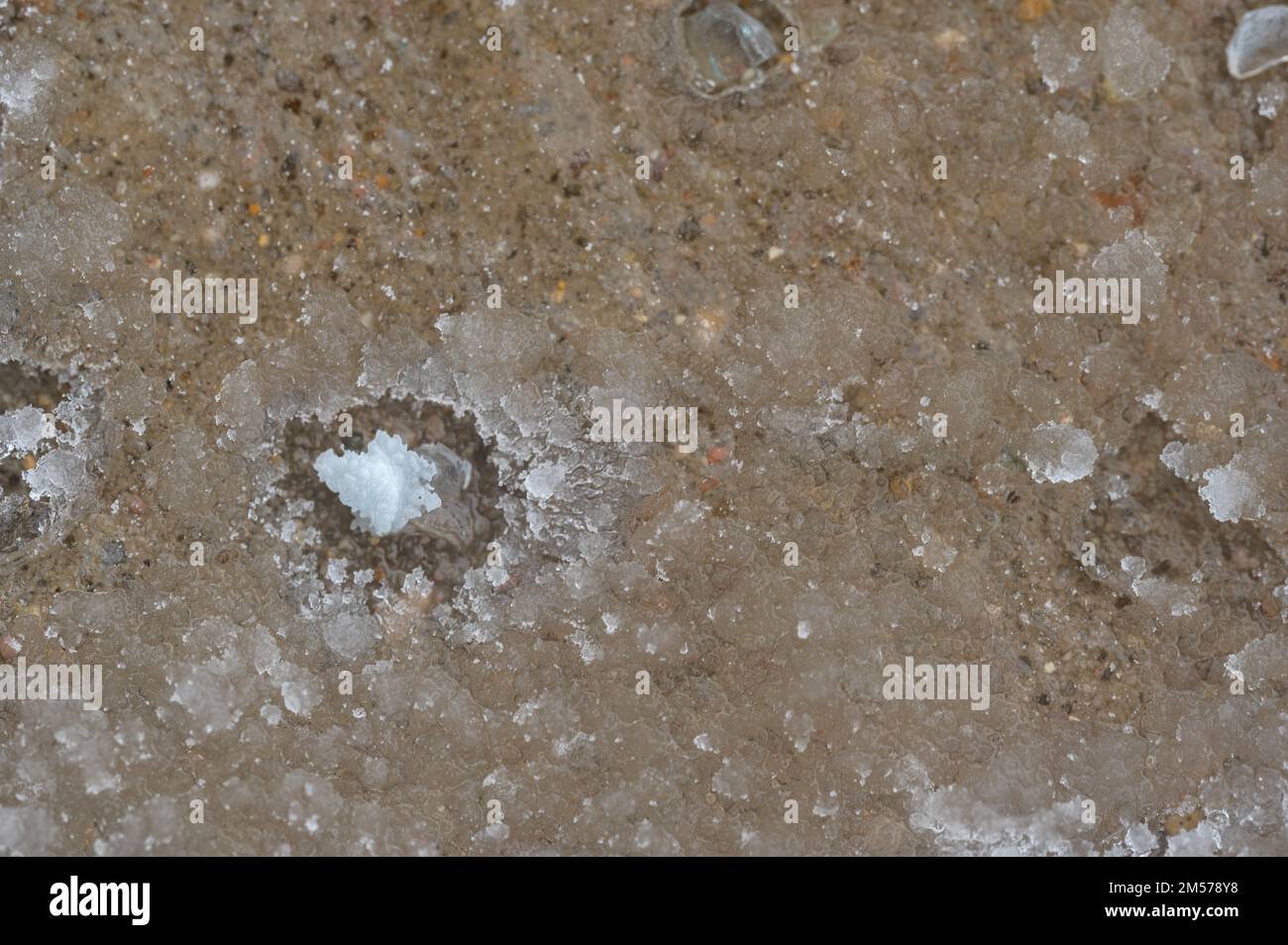 macro above view of a single rock salt ice-melt on concrete with a ...
