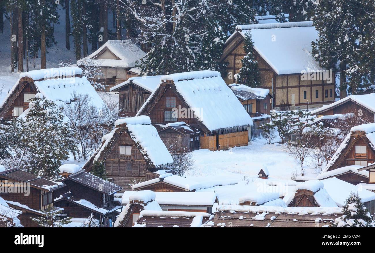 Traditional Japanese gassho houses in small mountain village in snow ...