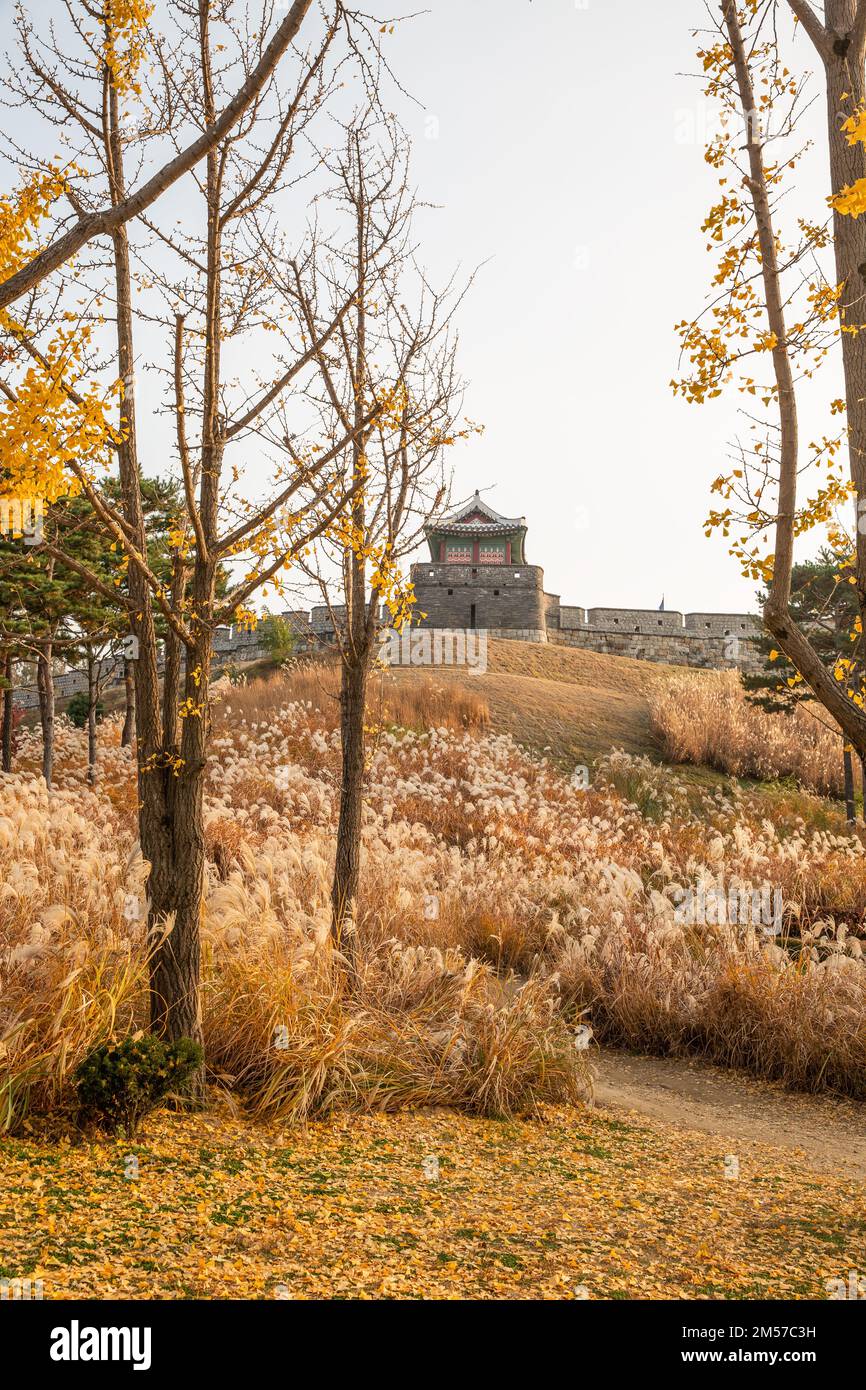 autumn landscape, scenery of Suwon Hwaseong in Korea Stock Photo - Alamy
