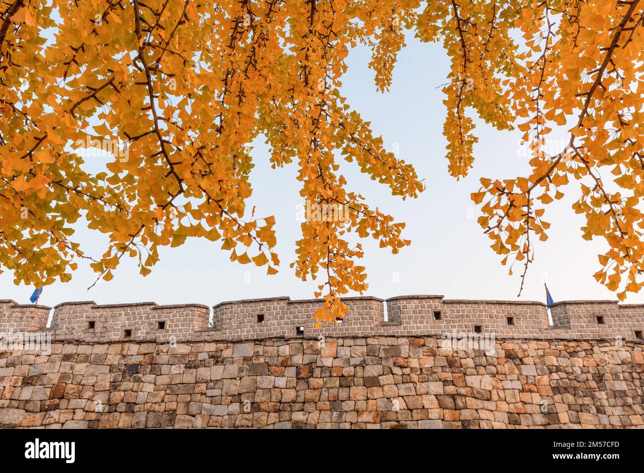 autumn landscape, scenery of Suwon Hwaseong in Korea Stock Photo - Alamy