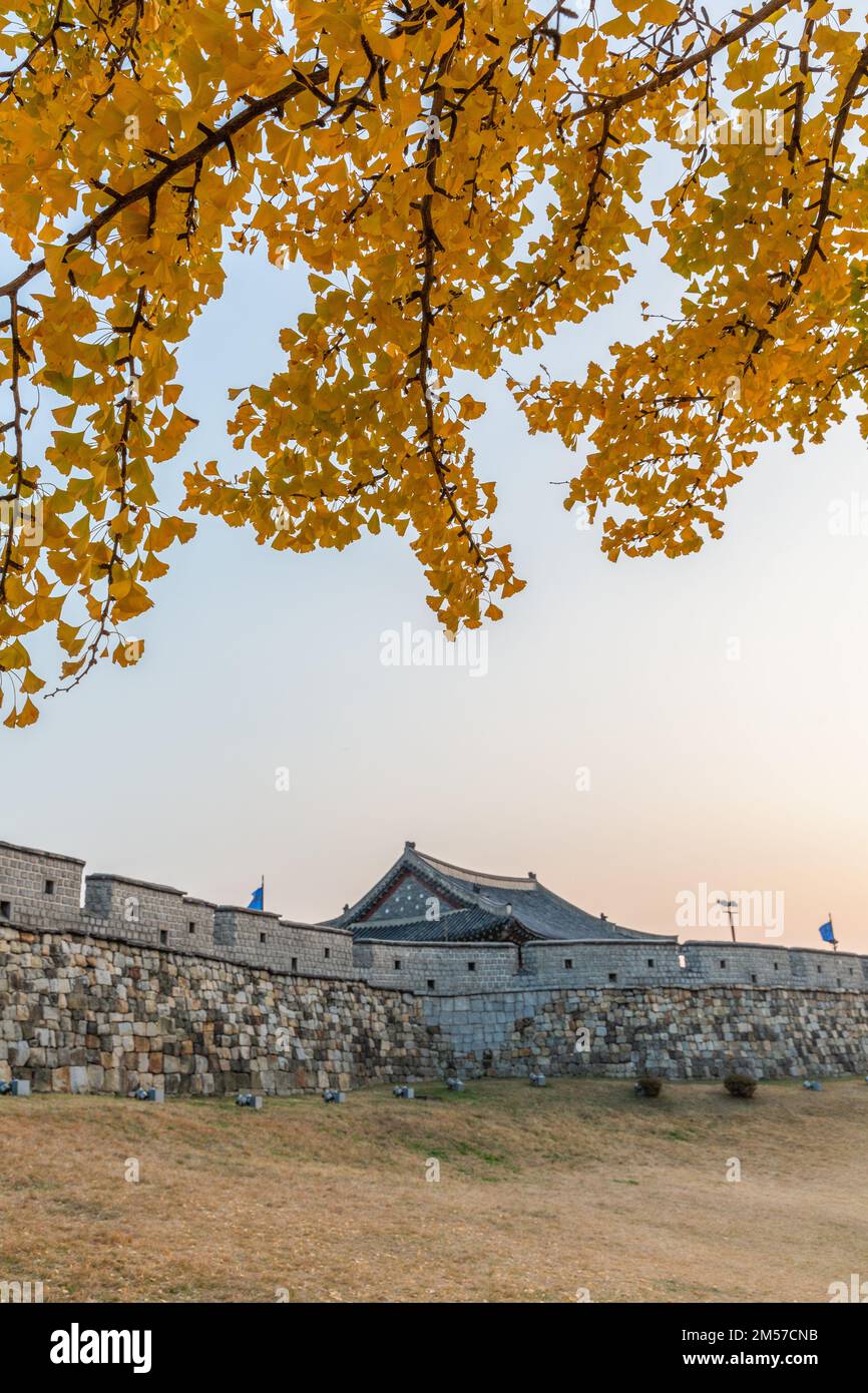 autumn landscape, scenery of Suwon Hwaseong in Korea Stock Photo - Alamy