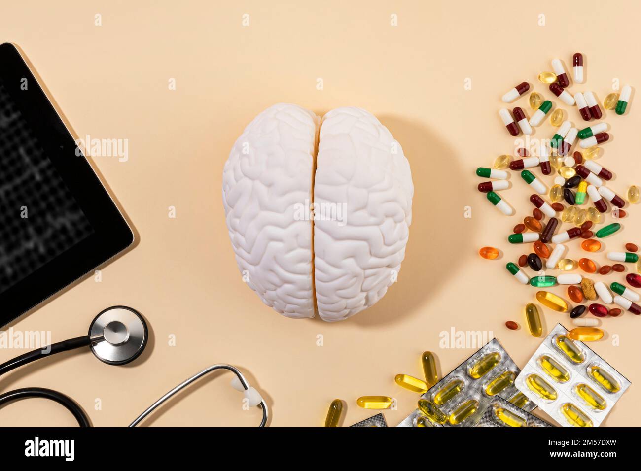 brain health and dementia series brain miniature and nutritional ...