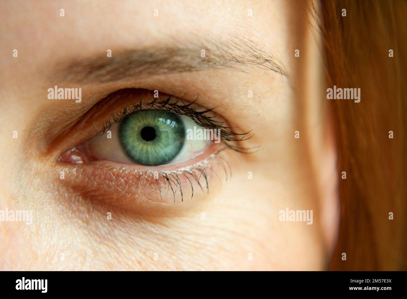 Woman's left eye Stock Photo - Alamy