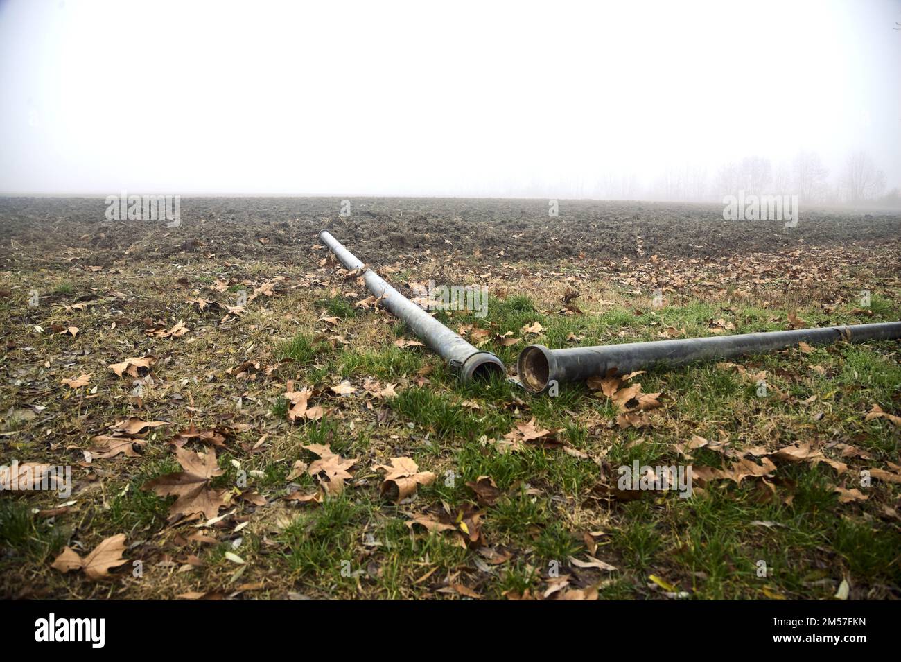 Irrigation hoses by the edge of a ploughed field on a foggy day in ...