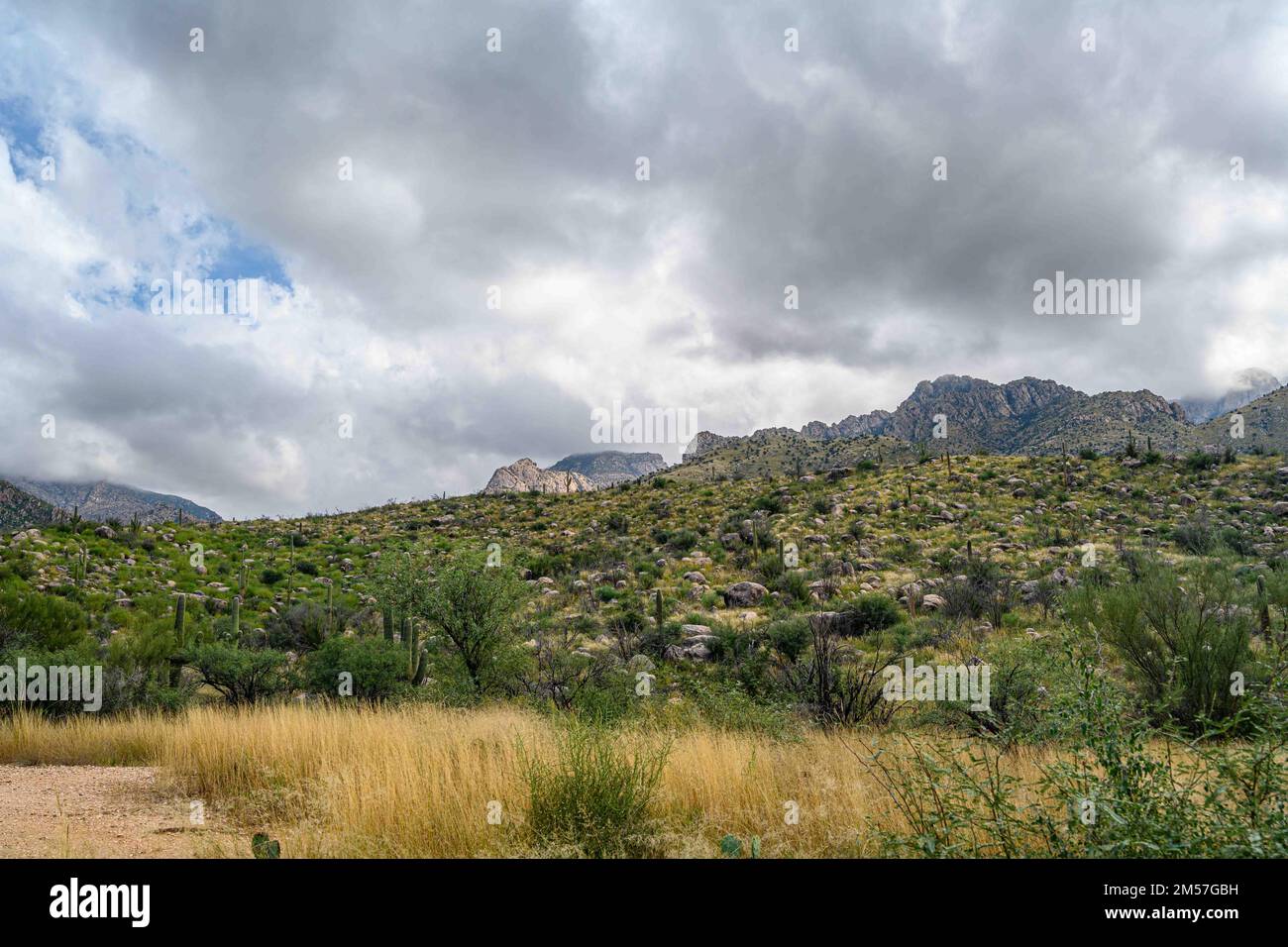 An overlooking view in Catalina SP, Arizona Stock Photo - Alamy