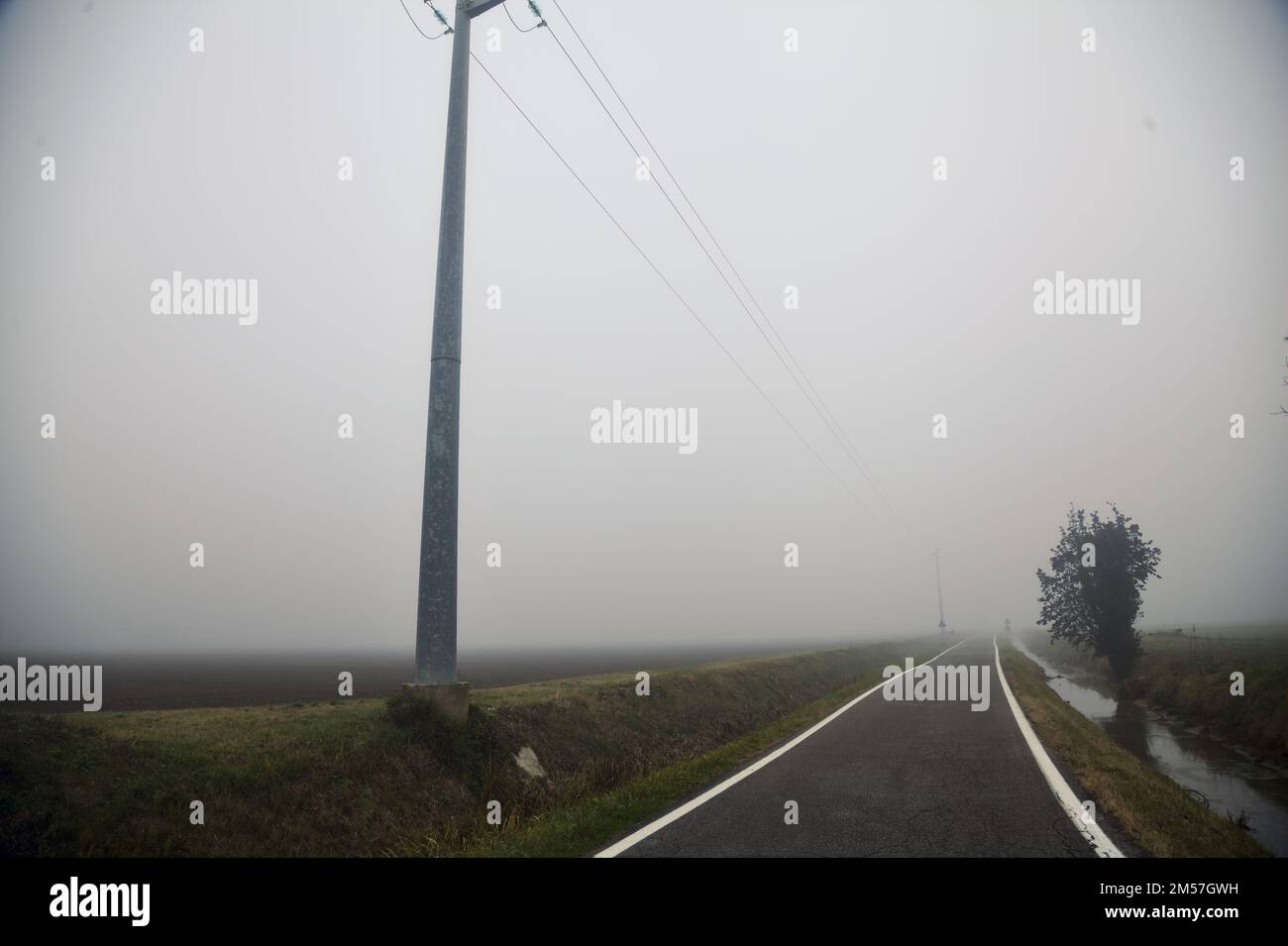 Tree by the edge of an irrigation channel next to a country road on a ...