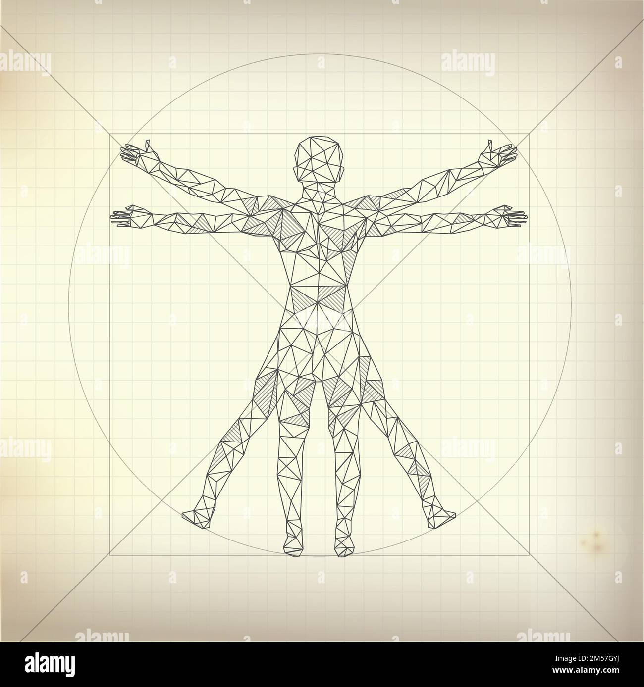Leonardo da vinci anatomy body Stock Vector Images - Alamy
