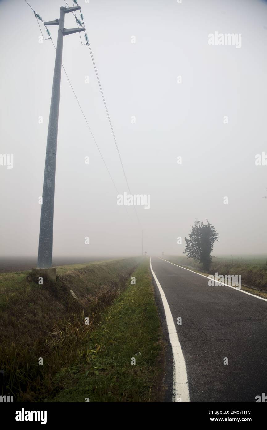 Tree by the edge of an irrigation channel next to a country road on a ...