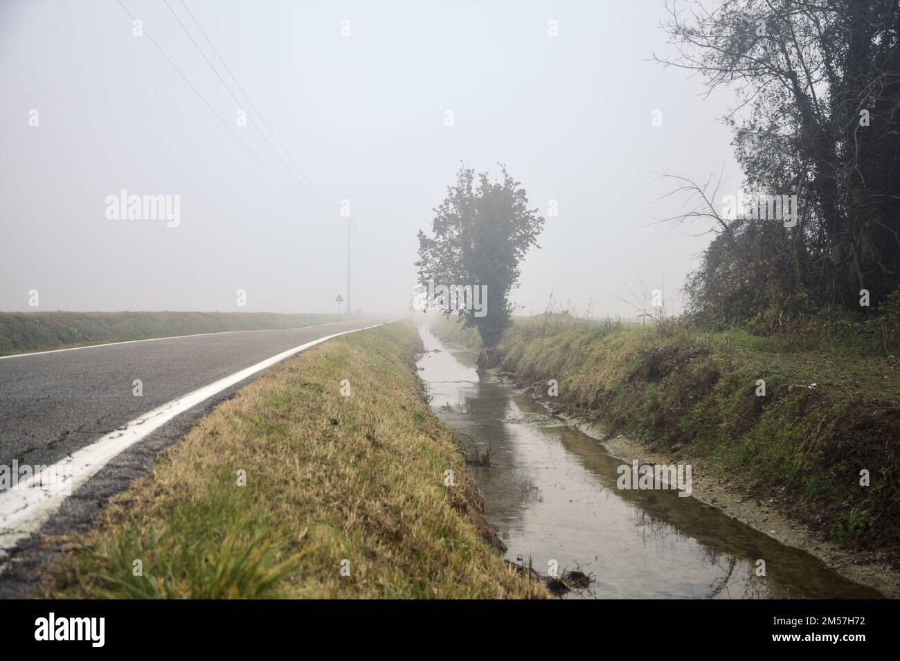 Tree by the edge of an irrigation channel next to a country road on a ...