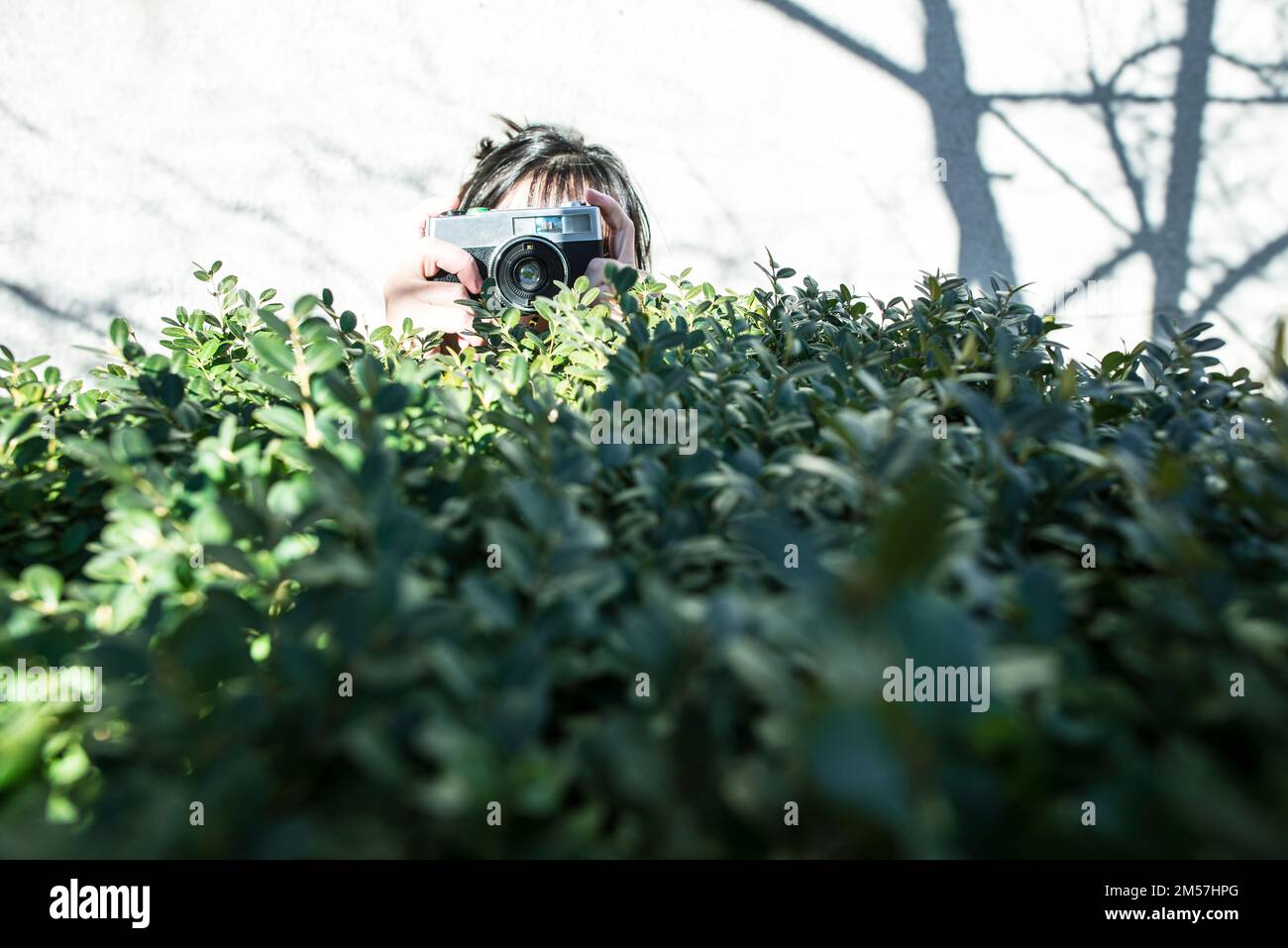 Woman shooting with vintage camera. Green bush Stock Photo - Alamy