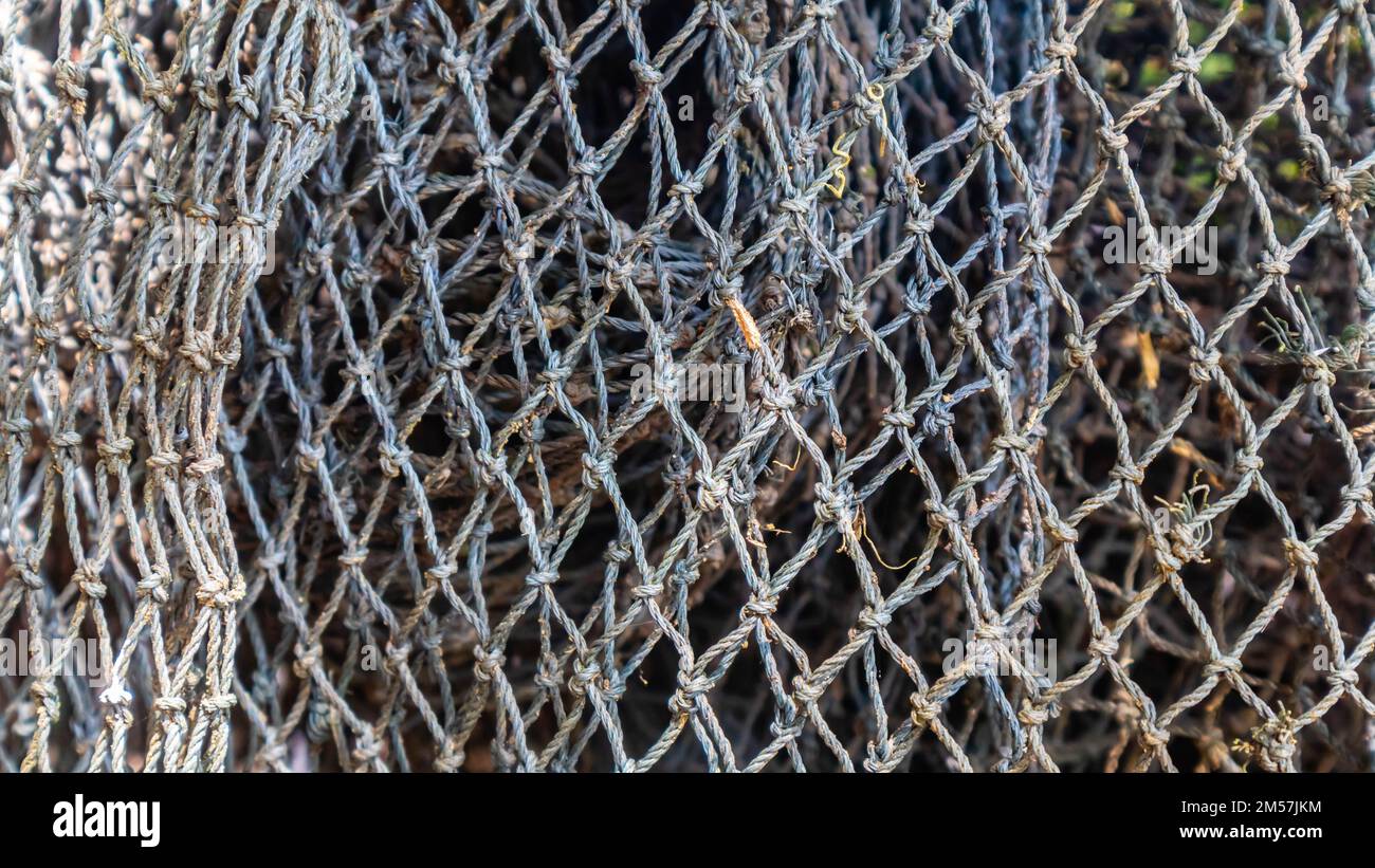 fish net texture as background Stock Photo - Alamy