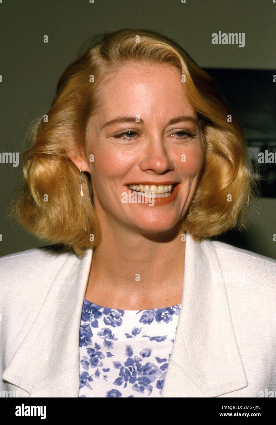 Cybill Shepherd at the Cultural Heritage Board Press Conference for ...
