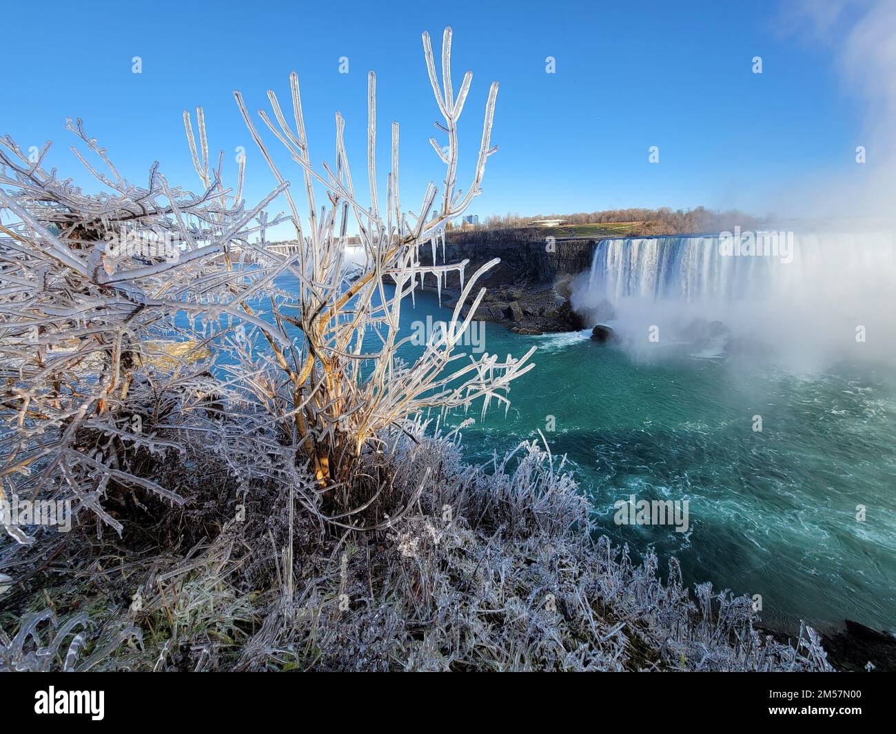 A scenic view of shrubs covered with ice against Niagara Falls in Canada Stock Photo - Alamy