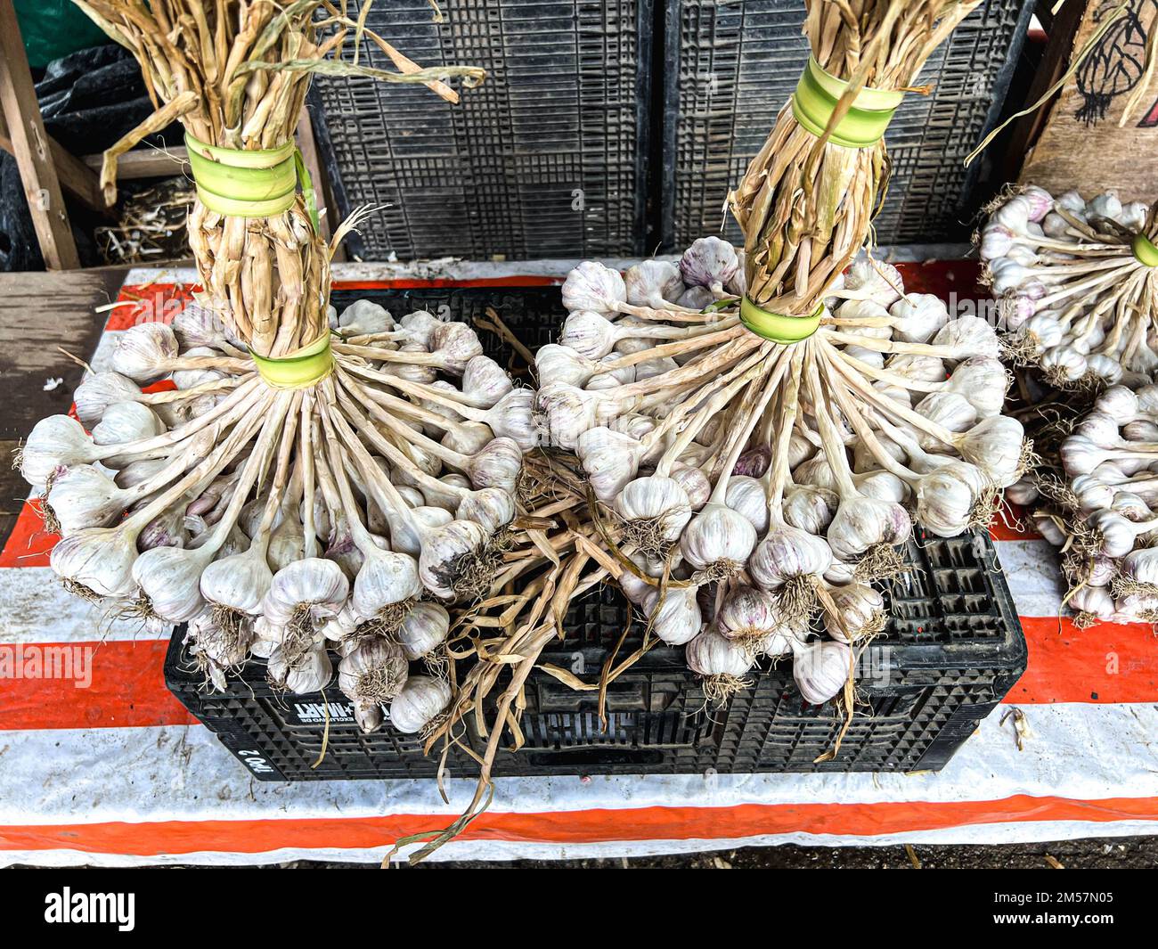 Mexico ingredient hi-res stock photography and images - Alamy