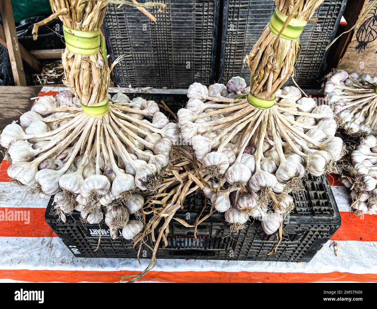 Bunches of garlic at a market in Oaxaca, Mexico Stock Photo - Alamy