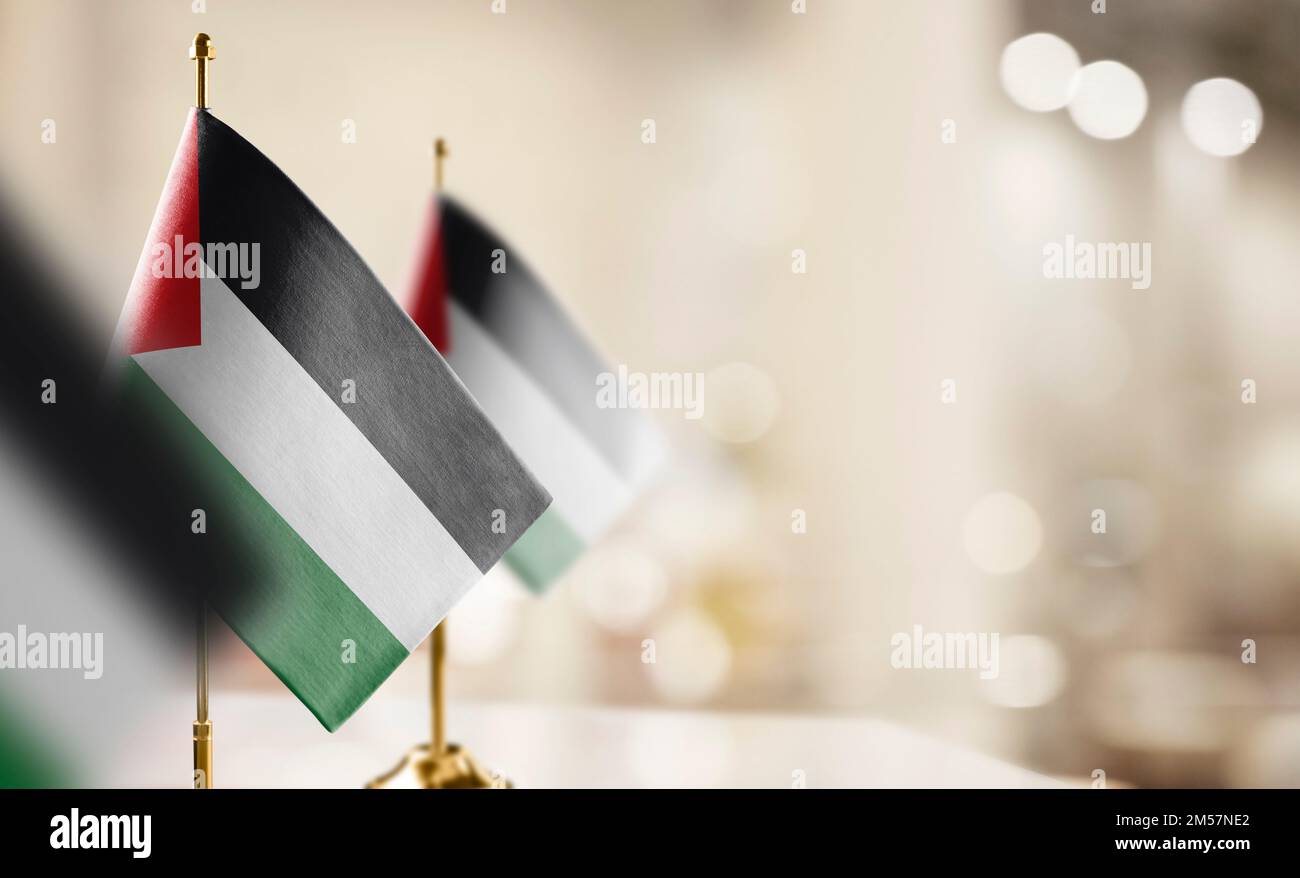 Small flags of the Palestine on an abstract blurry background Stock ...