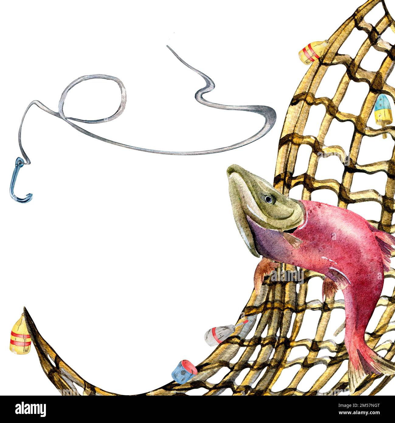 Composition of salmon, coho and fishnet watercolor illustration ...