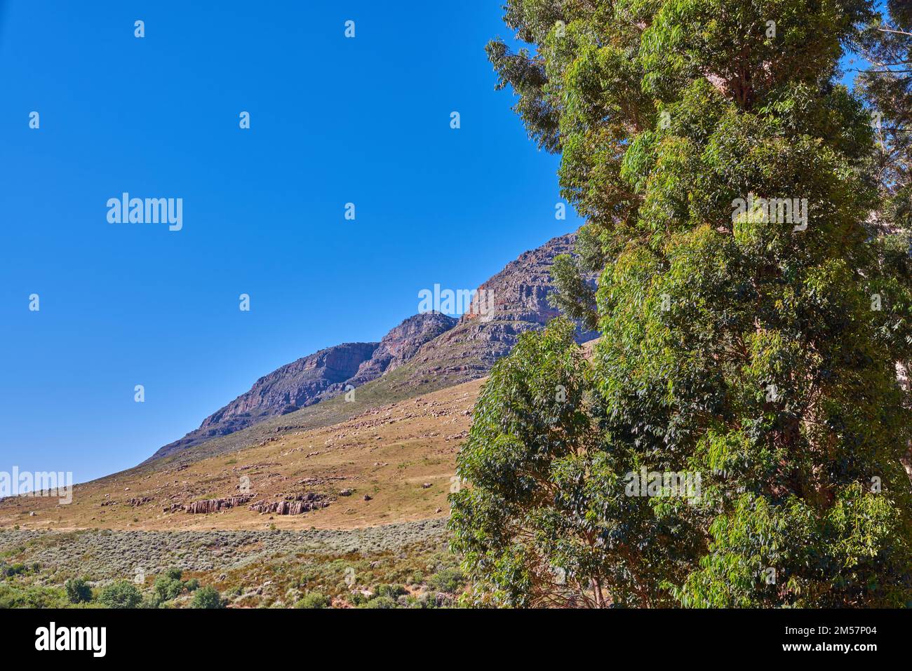Cedarberg Wilderness Area - South Africa Stock Photo - Alamy