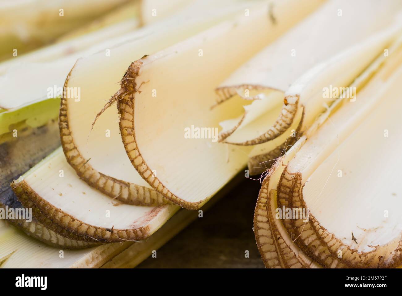 thor or white banana stem is eaten as vegetable in south east asian ...