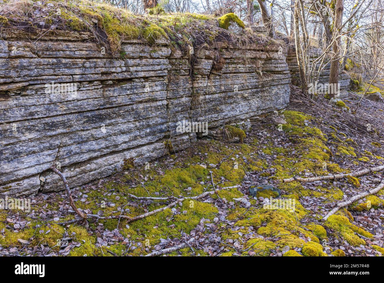 Rock face in a old limestone quarry Stock Photo - Alamy